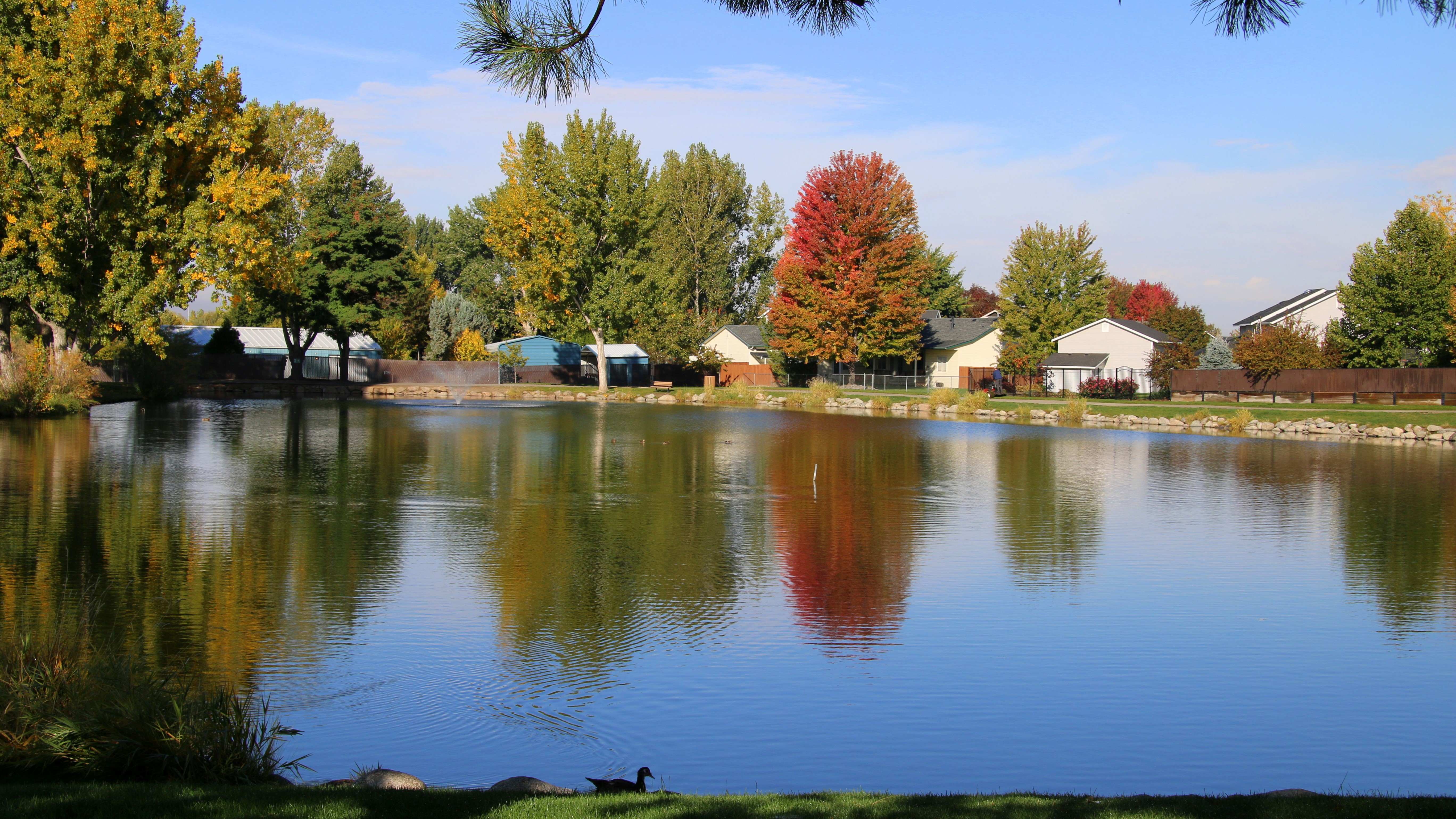 Fuller Park | City of Meridian
